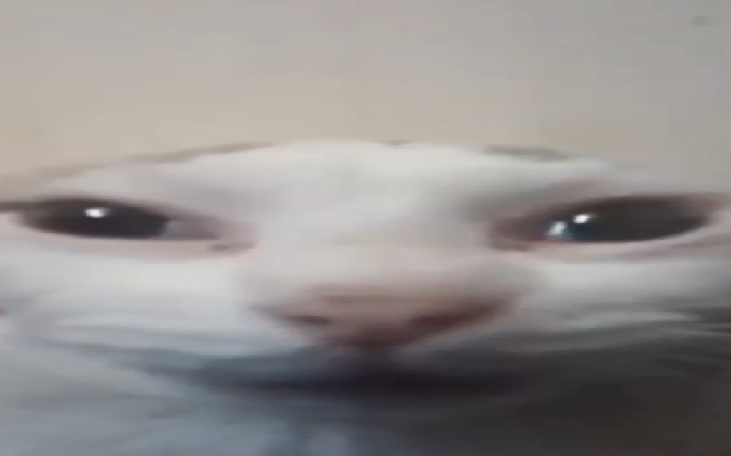 Sinful memes V81-goodfnd-goodfnd-哔哩哔哩视频