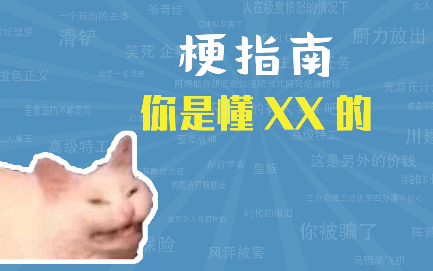 你是懂xx的是什么梗【梗指南】 哔哩哔哩