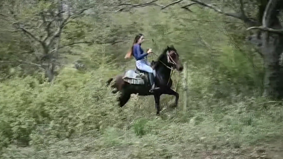 原始森林调训烈马2-冰魂骑士-冰魂骑士-哔哩哔哩视频