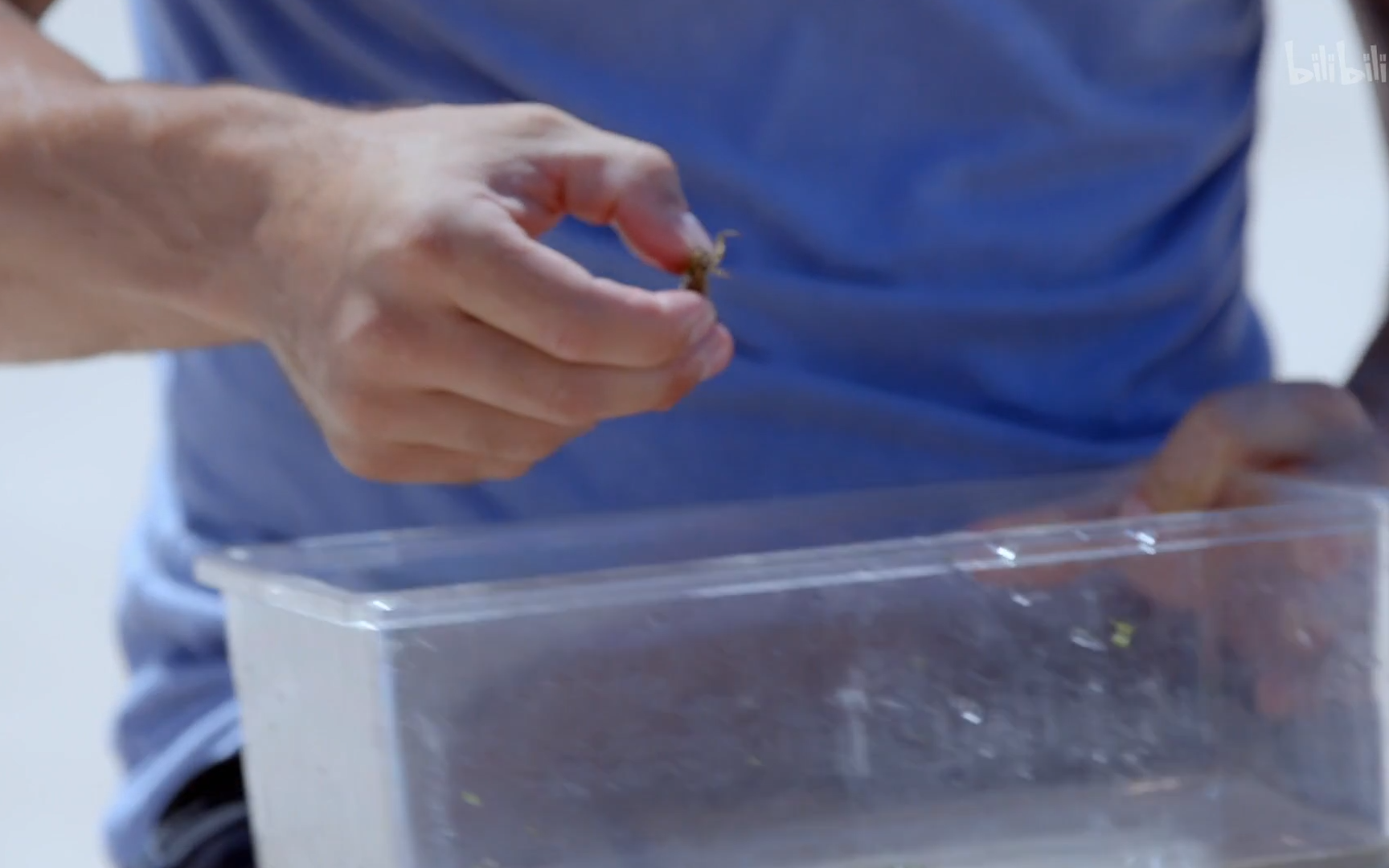 疼痛之王看点35-纪录片-全集-高清独家在线观看-bilibili-哔哩哔哩