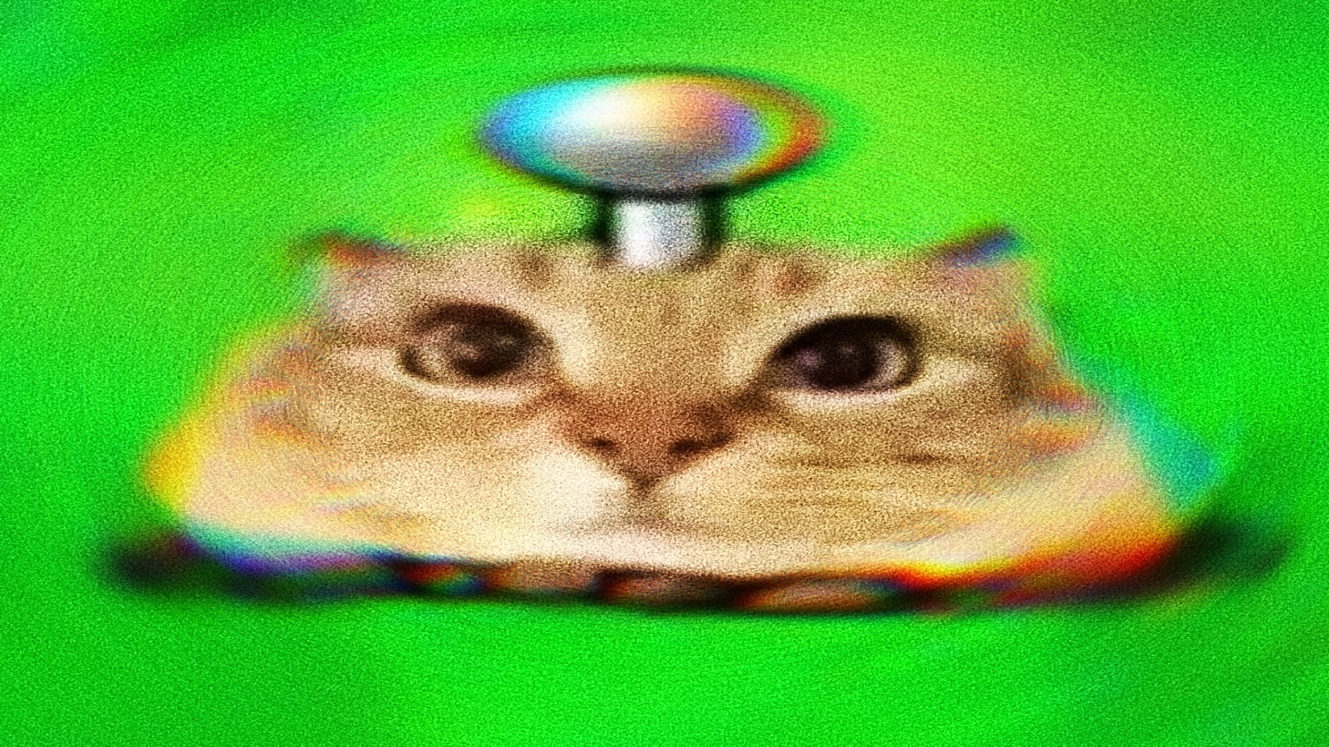 【Meme】看完笑了的人会长出可爱的小白手套AUV #197-治愈弥因-治愈弥因-哔哩哔哩视频