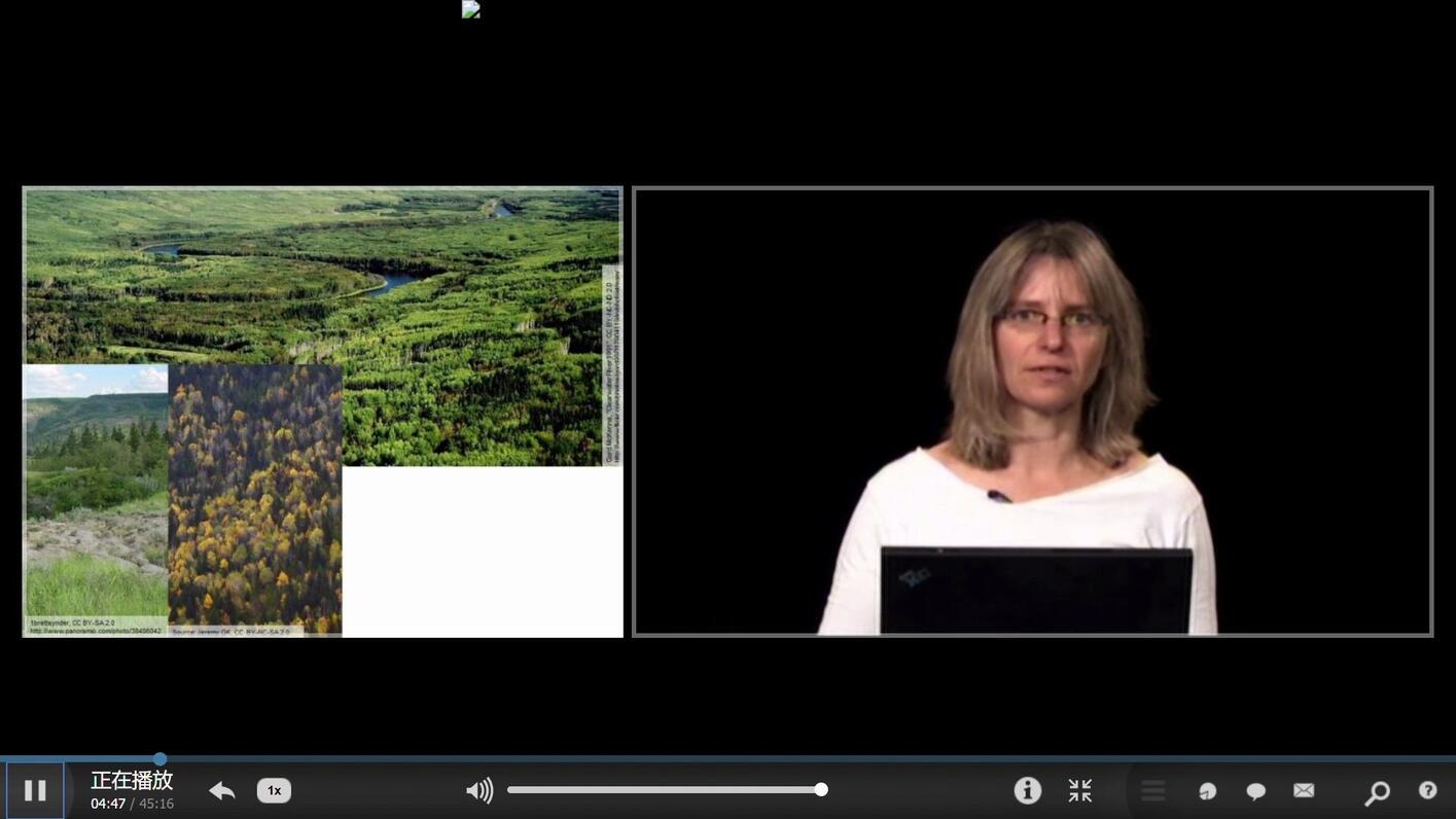 Introduction to Forest Ecology - 哔哩哔哩