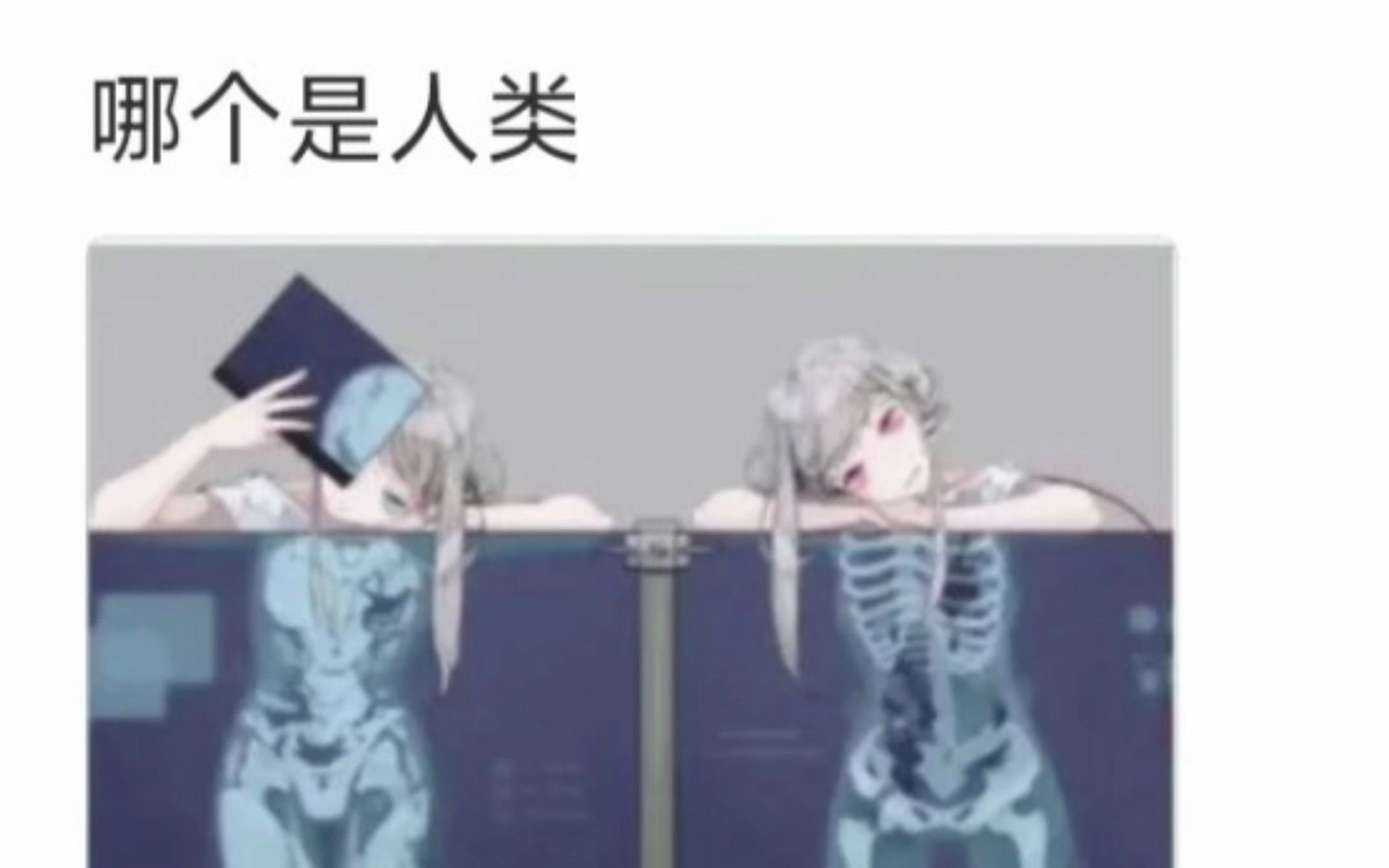 网络爆笑梗图 哔哩哔哩