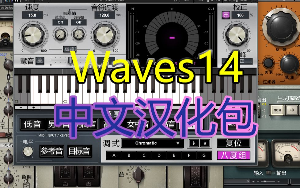 Waves14中文包 汉化包 - 视频下载 Video Downloader