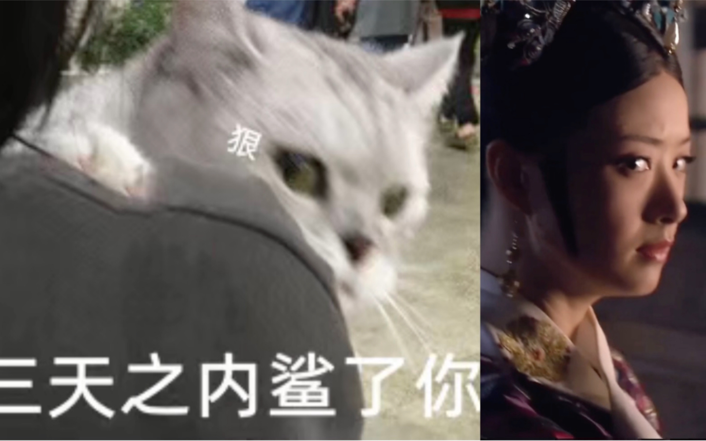 甄嬛传 中译中10华妃：“三天之内鲨了你” 阅读理解 哔哩哔哩 