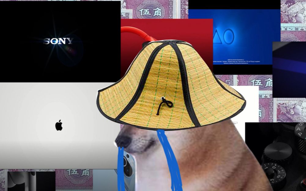 《我不想在花钱了》Silense wench cheems_哔哩哔哩_bilibili