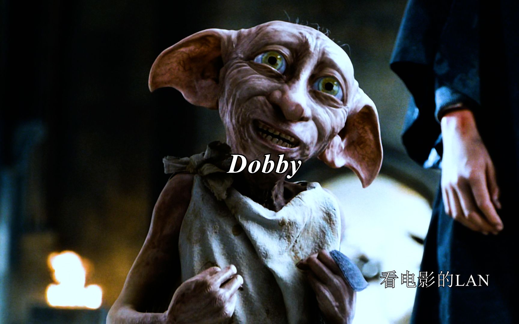 多比 ：哈利波特，认识你 是我的荣幸..._哔哩哔哩_bilibili