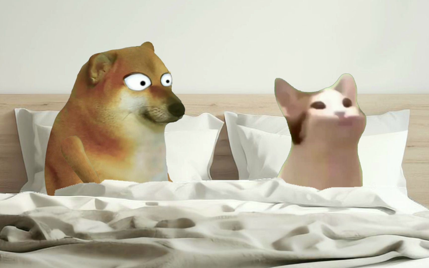 想和老婆亲个嘴，真是太难了-cheems小电影-cheems小电影-哔哩哔哩视频