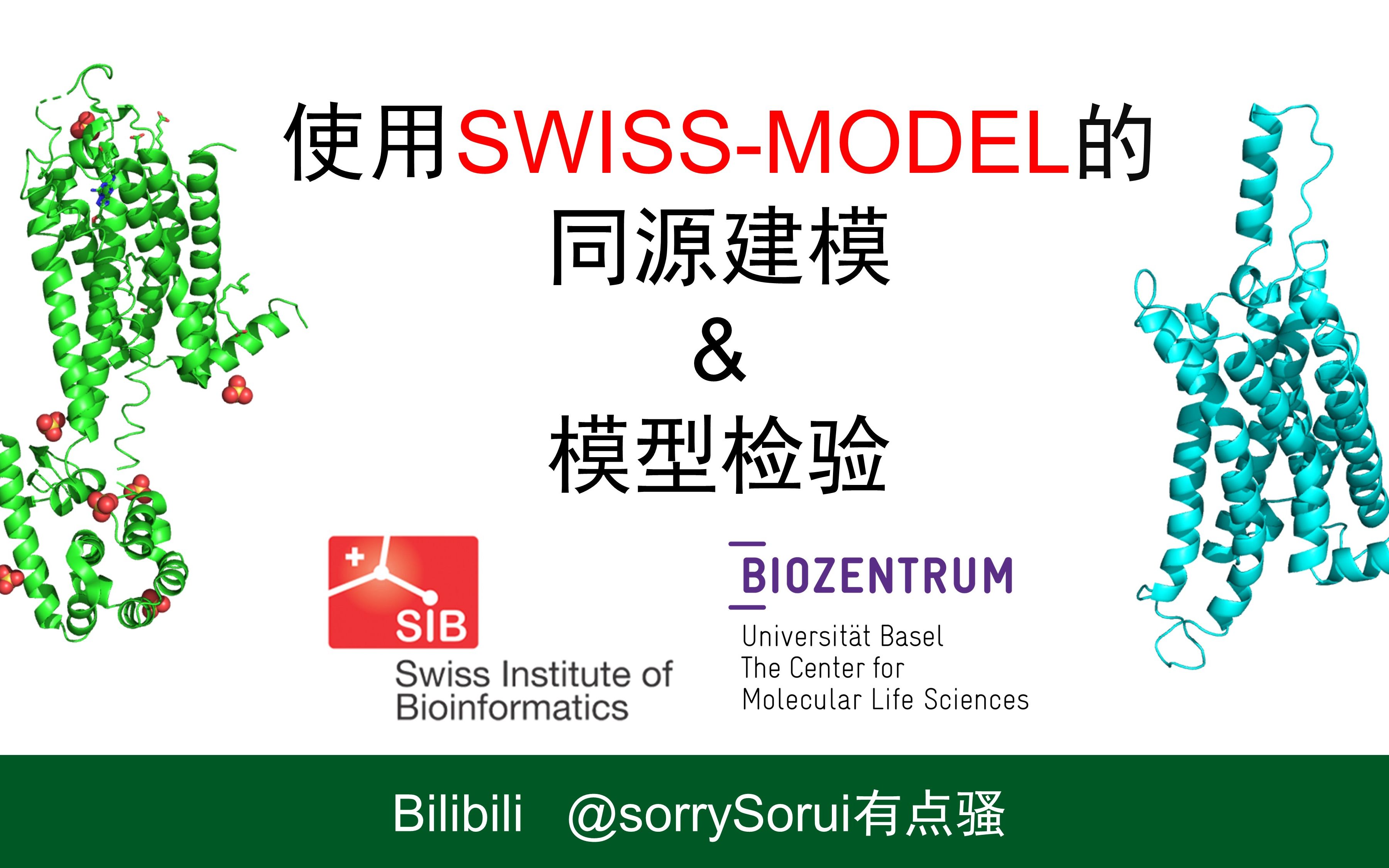 【无声】使用SWISS-MODEL的同源建模及模型检验-史迪奇不会画画-学习-哔哩哔哩视频