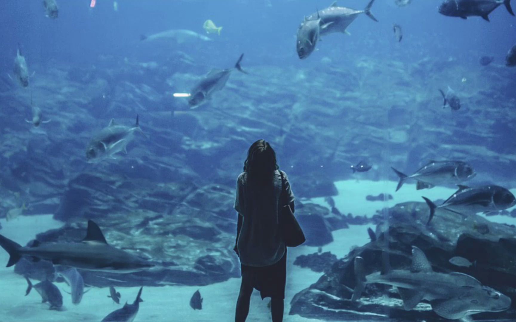 【EVA终曲】开口跪！用虚拟歌手唱了宇多田光的One Last Kiss【星尘Infinity/Synth V Cover】【2022虚拟歌手 ...