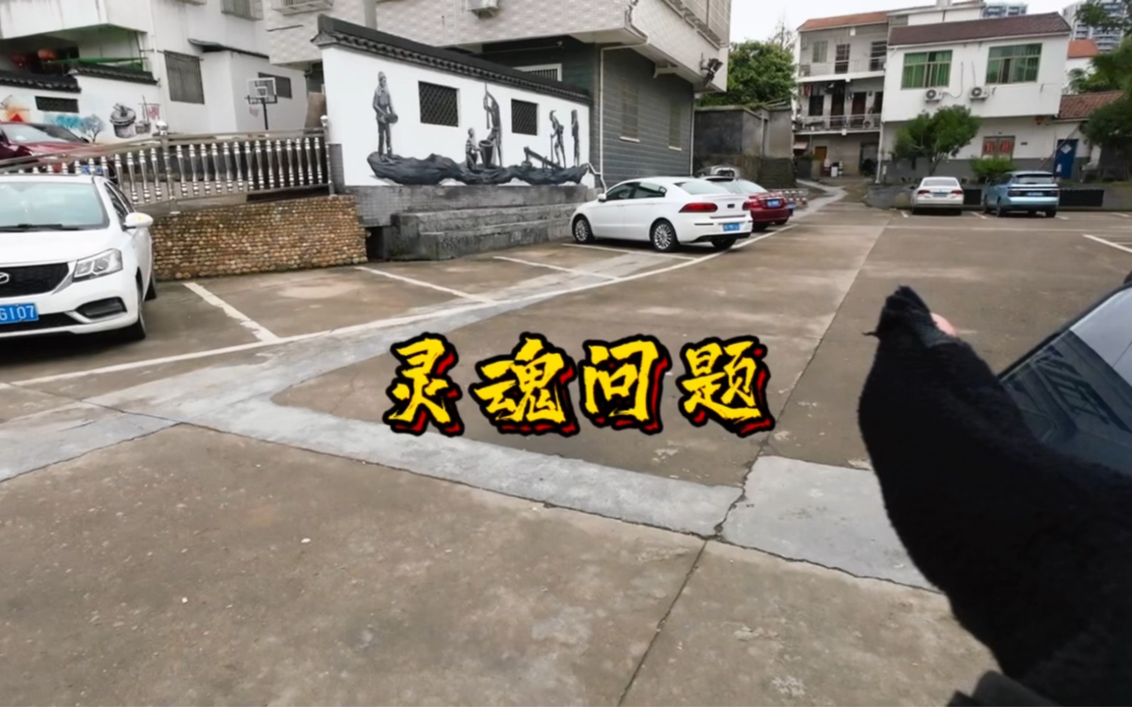 一大早老baby就发出灵魂问题-老六liul-老六liul-哔哩哔哩视频