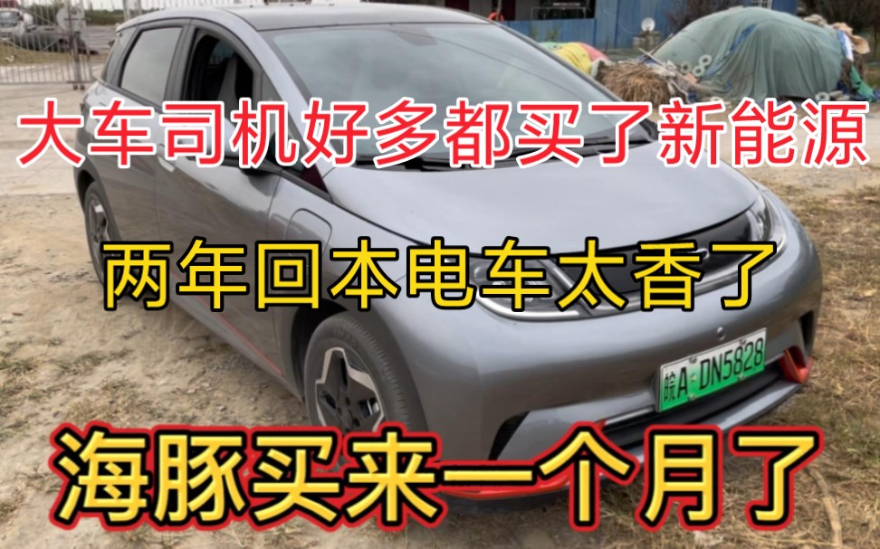 我买了村里第一辆比亚迪海豚，两年就能跑回本，再也不喷电车了！一个月跑万把公里的比 哔哩哔哩