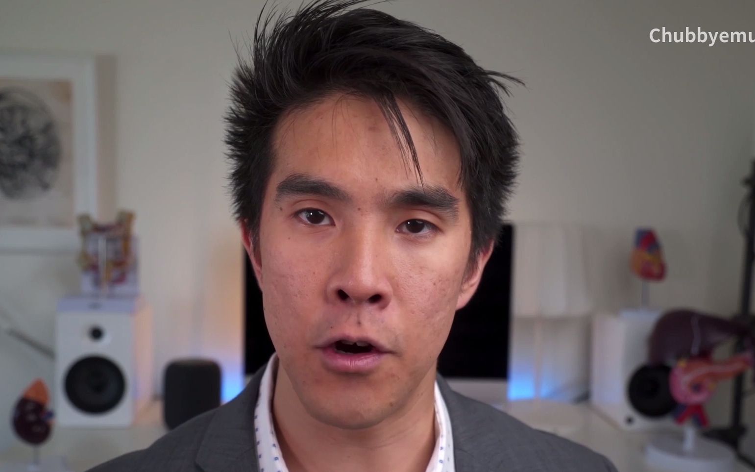 【Chubbyemu】胖鸸鹋案例结局合集 二_哔哩哔哩_bilibili