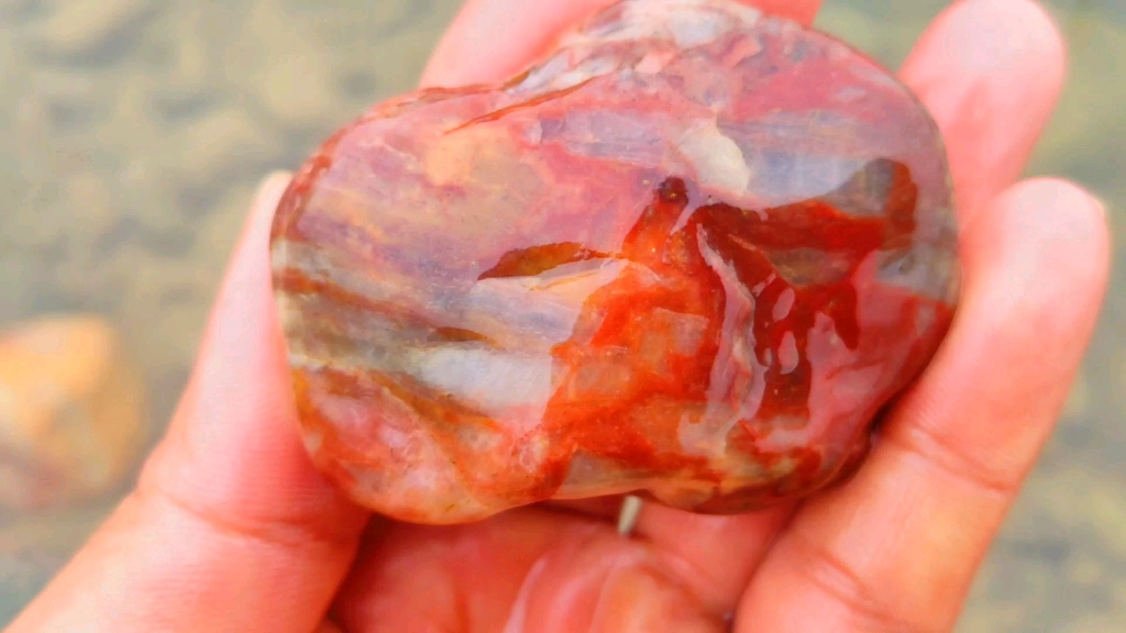 古河道上遍地漂亮石头，经常能捡到又红又润的石头，是否有价值_哔哩哔哩_bilibili