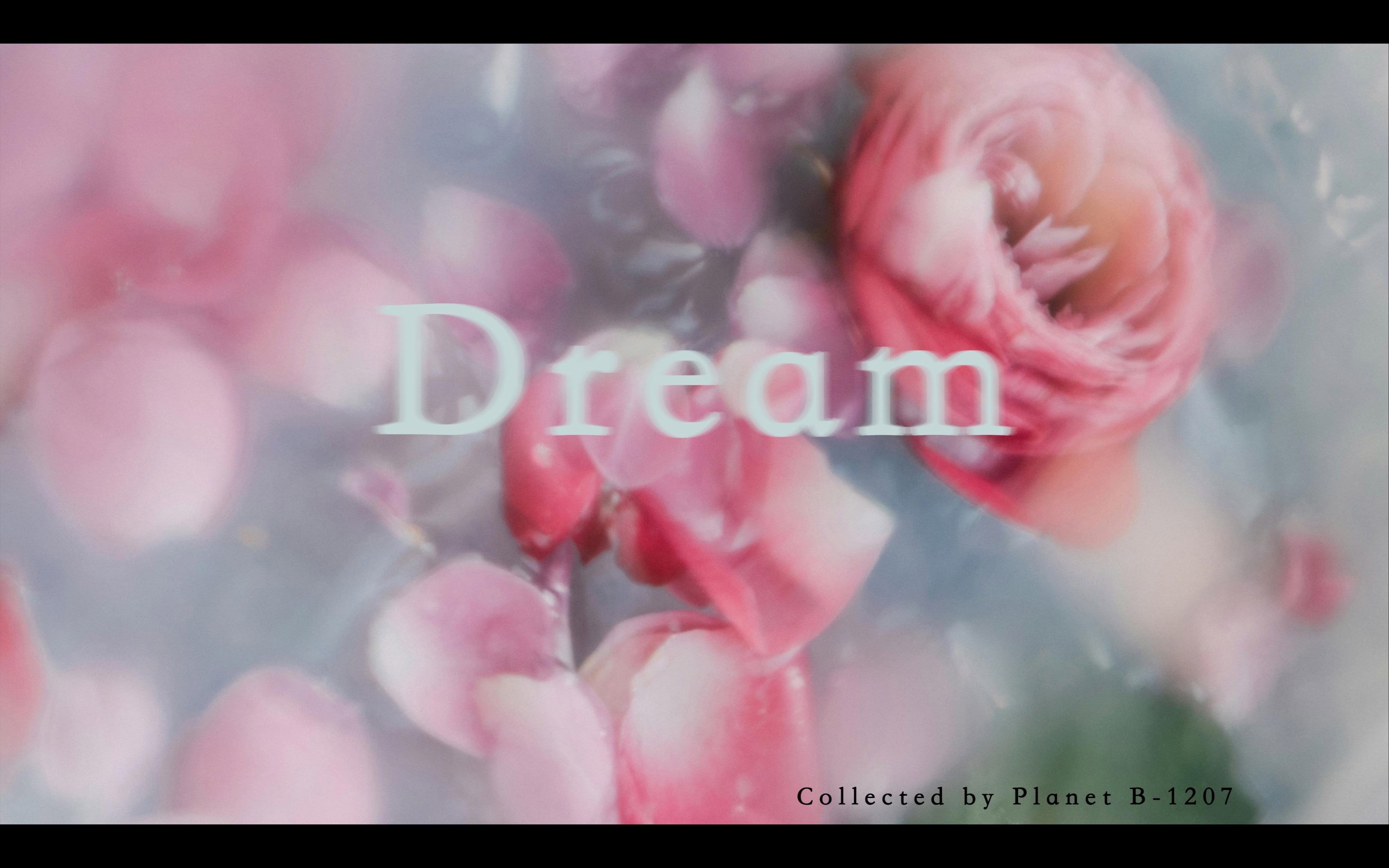 𝐏𝐥𝐚𝐲𝐥𝐢𝐬𝐭·歌单｜在梦里遇见春日 ♫ 轻音乐/钢琴-B1207星球-B1207星球-哔哩哔哩视频