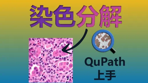 QuPath染色分解与染色分量调整详细实操！_哔哩哔哩_bilibili
