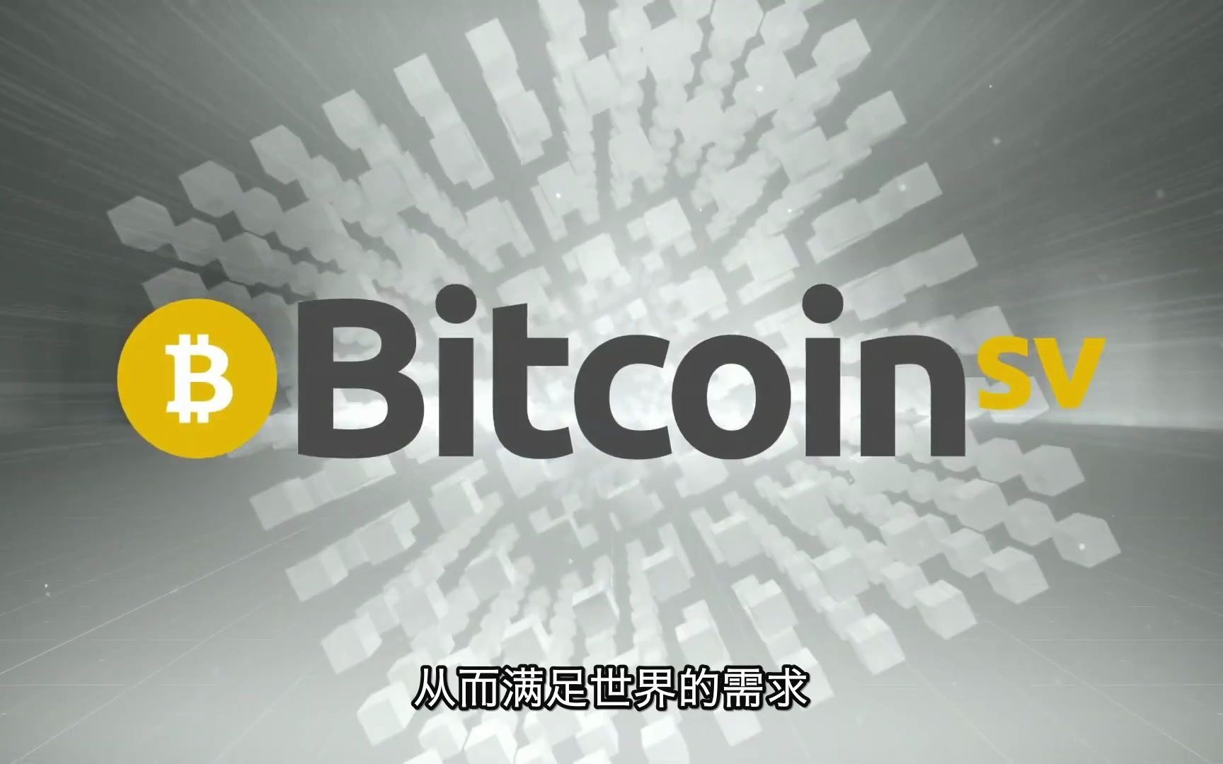 【Bitcoin SV独立日2周年】比特币BSV无限扩容，势如破竹——2020年11月15日_哔哩哔哩_bilibili