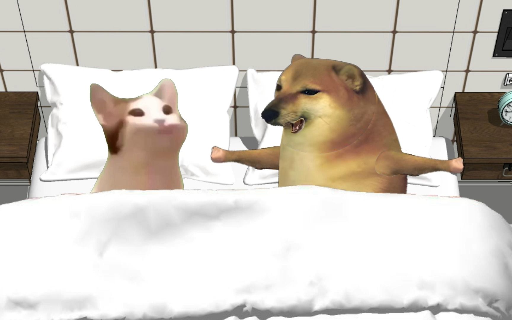 这彩礼到底应该谁给谁啊？-cheems小电影-cheems小电影-哔哩哔哩视频