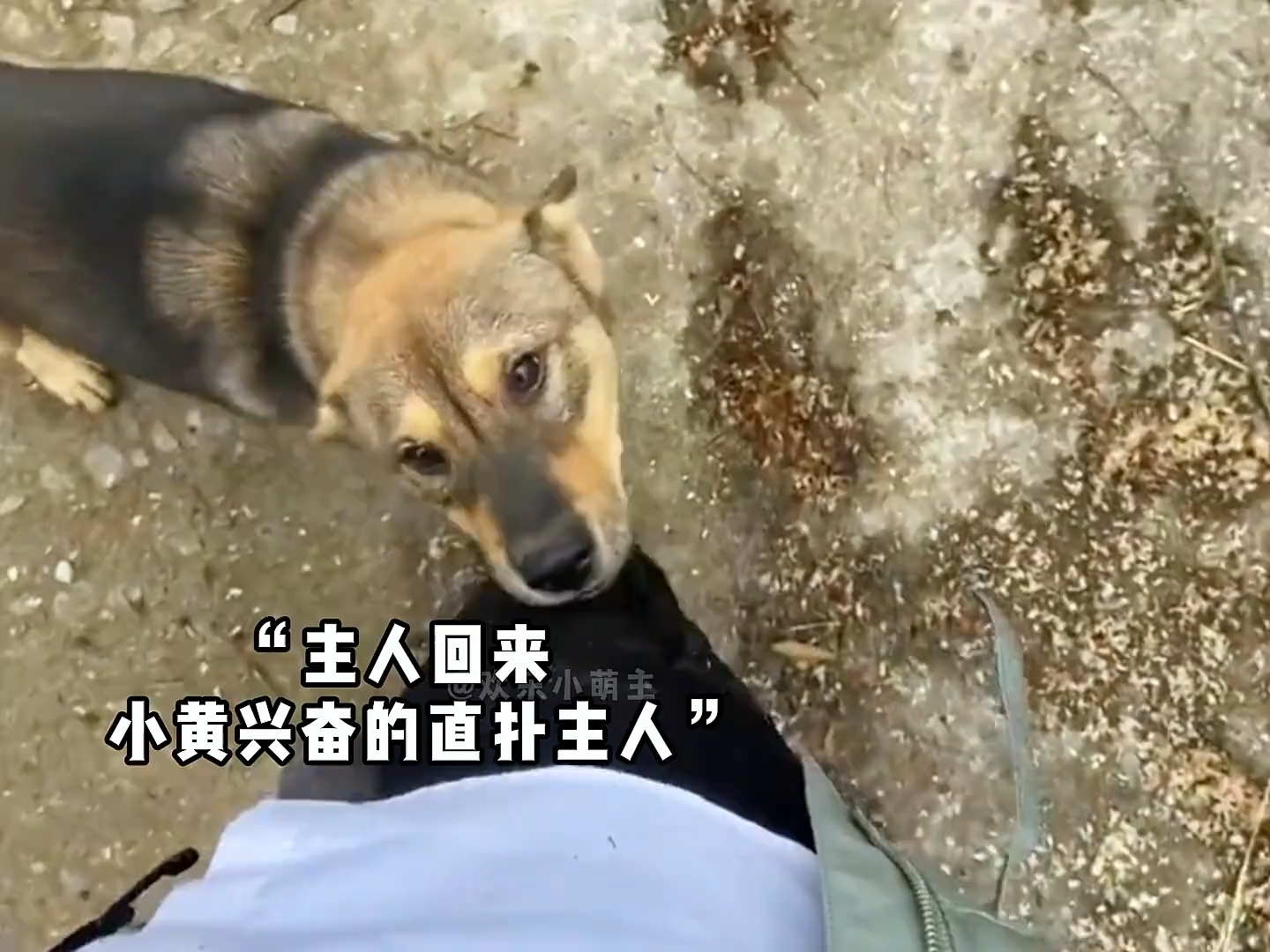 "NiKo Hello"-明治大学卓文君-默认收藏夹-哔哩哔哩视频