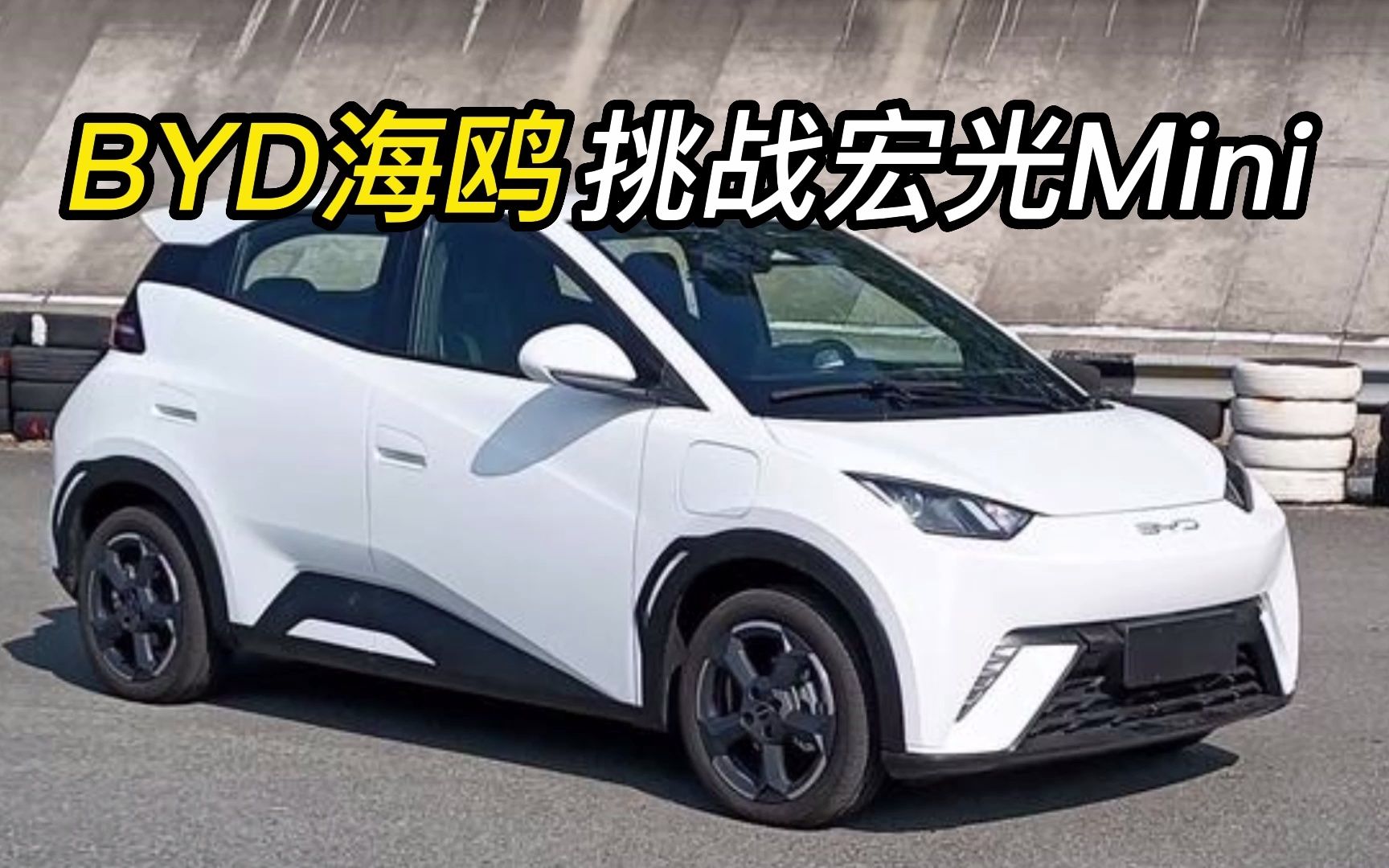 你觉得比亚迪海鸥能否干翻宏光miniev？ - 哔哩哔哩