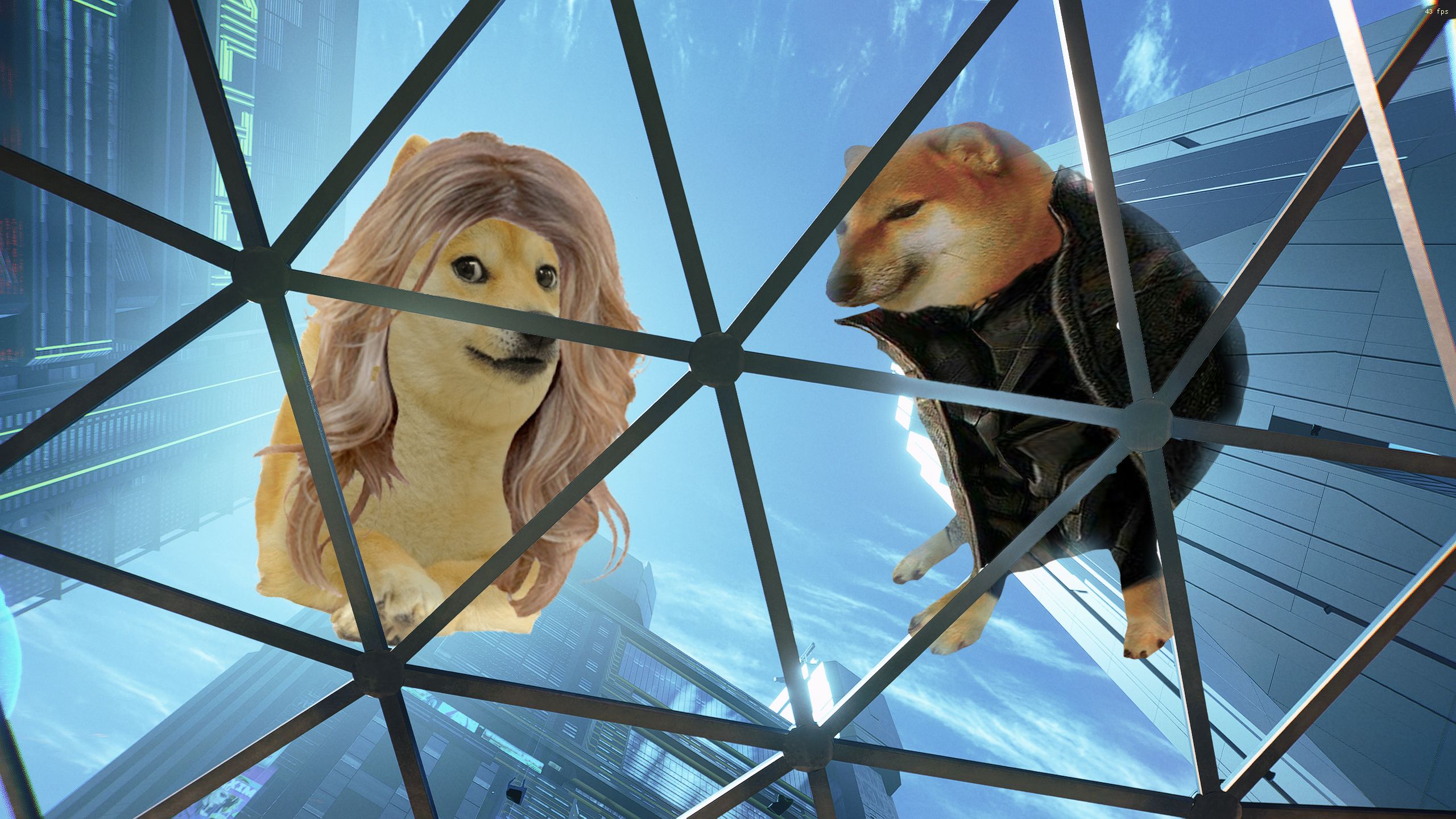 "Cheems，你要逃出时间循环吗？”（2）-清竹莫叶-清竹莫叶-哔哩哔哩视频