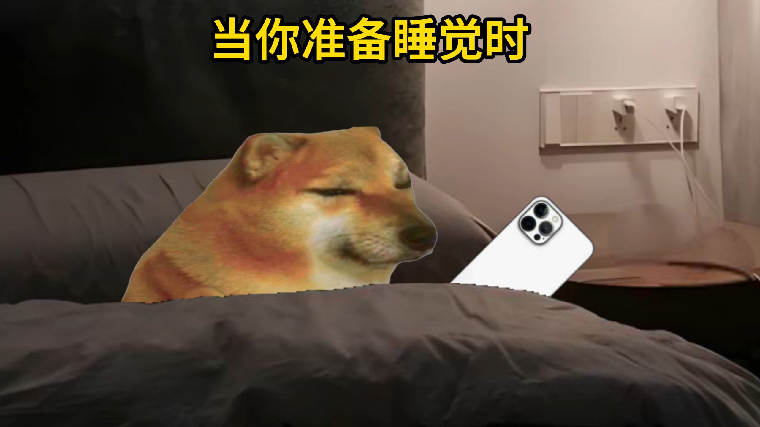 当你晚上准备睡觉时-cheems小电影-cheems小电影-哔哩哔哩视频