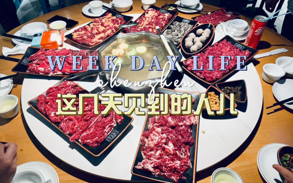 Ordinary Life: 这几天见到的人儿们_哔哩哔哩_bilibili