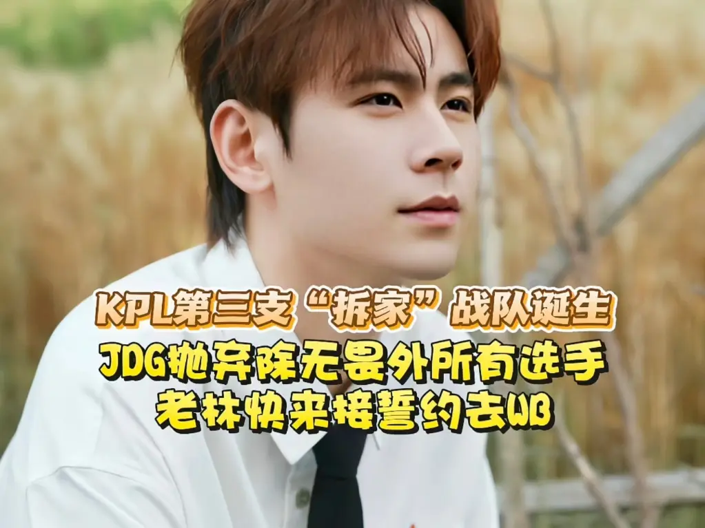 KPL第三支“拆家”战队诞生！JDG抛弃除无畏外所有选手：老林快来接誓约去WB #2025KPL夏季转会期#2025KPL春季赛 #JDG围绕无畏重组_哔哩哔哩bilibili