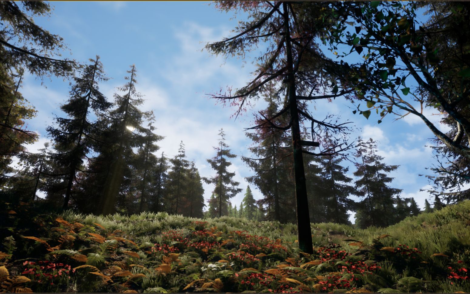 UE4+World machine+Speed tree/写实植物与地形制作_哔哩哔哩_bilibili