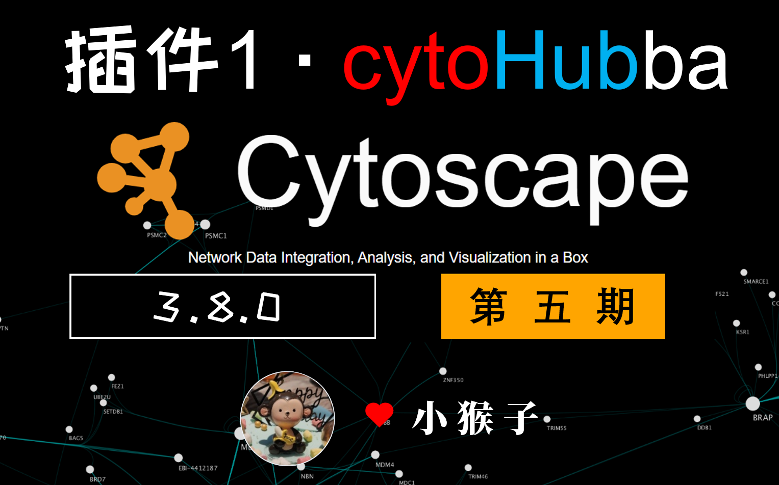 【生信分析-24】Cytoscape插件：cytoHubba使用_哔哩哔哩_bilibili