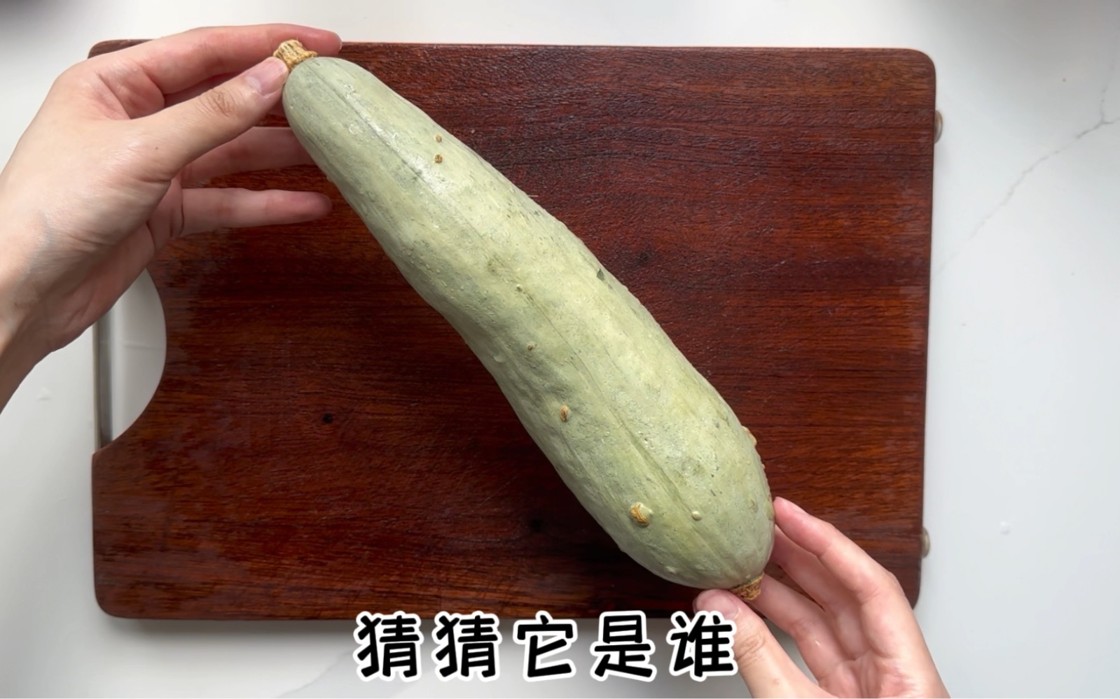 羊角蜜煲粥（bushi）-一宝ebao-一宝ebao-哔哩哔哩视频