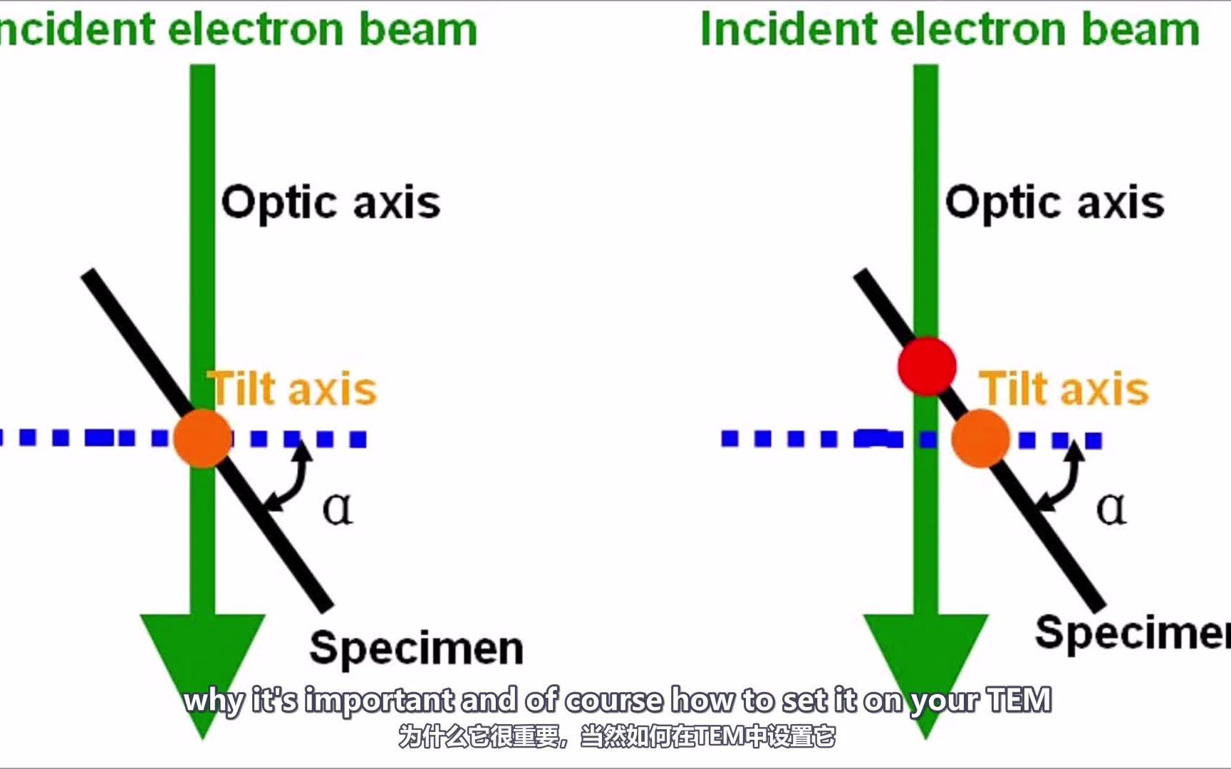 FEI Talos F200i S-TEM- recording SADPs with the Ceta camera 透射电镜拍摄SADPs ...