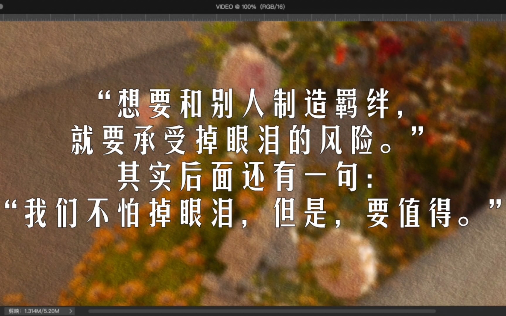 小王子》经典语录】把心爱的人放在心里，他便永远活在你的心中 哔哩哔哩 