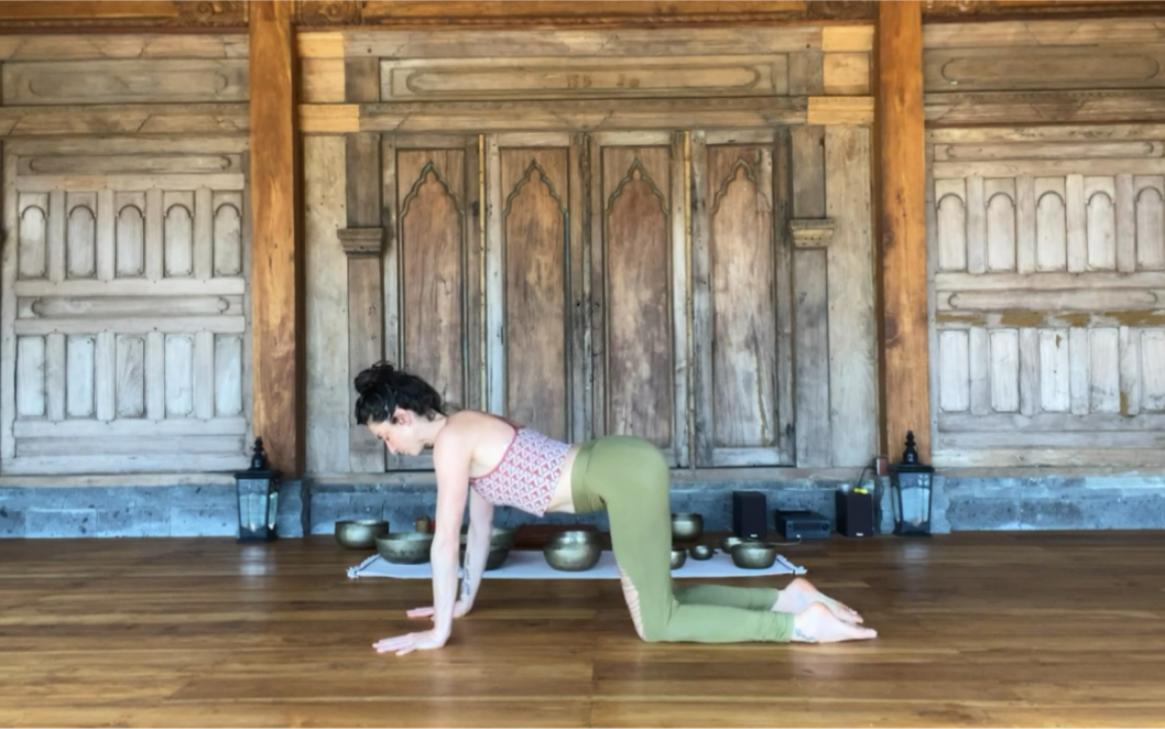 Cole Chance｜20分钟Vinyasa流瑜伽_哔哩哔哩_bilibili