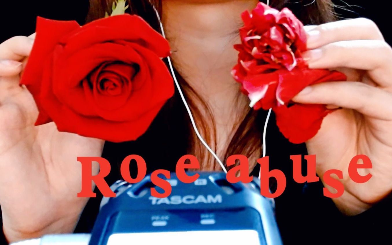 [Qpie 助眠] 揉捏玫瑰花的声音_哔哩哔哩_bilibili