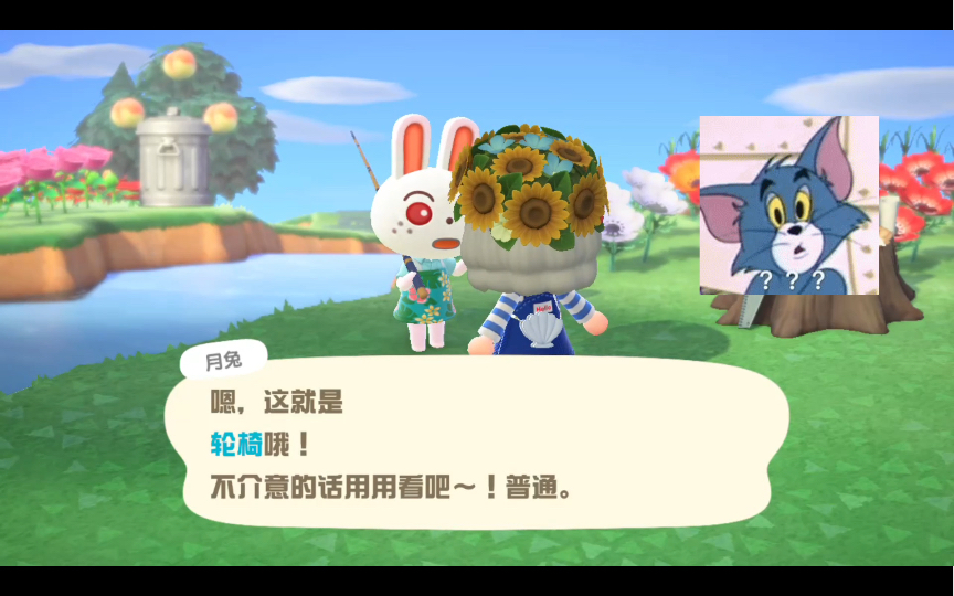 【动森】当小动物不喜欢你送的礼物会如何明示你…_哔哩哔哩bilibili_动物森友会