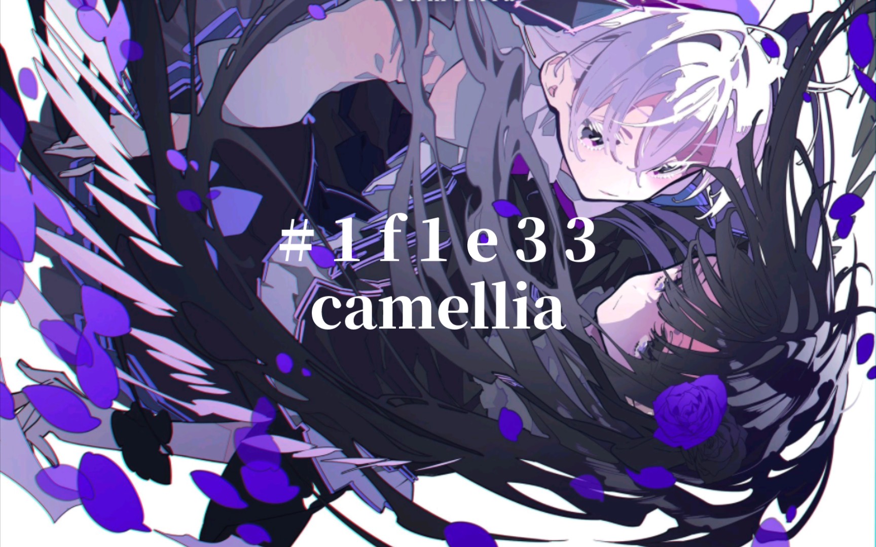 【单曲试听】【完整加长版】#1f1e33 (#00102g version) - かめりあ【Arcaea】