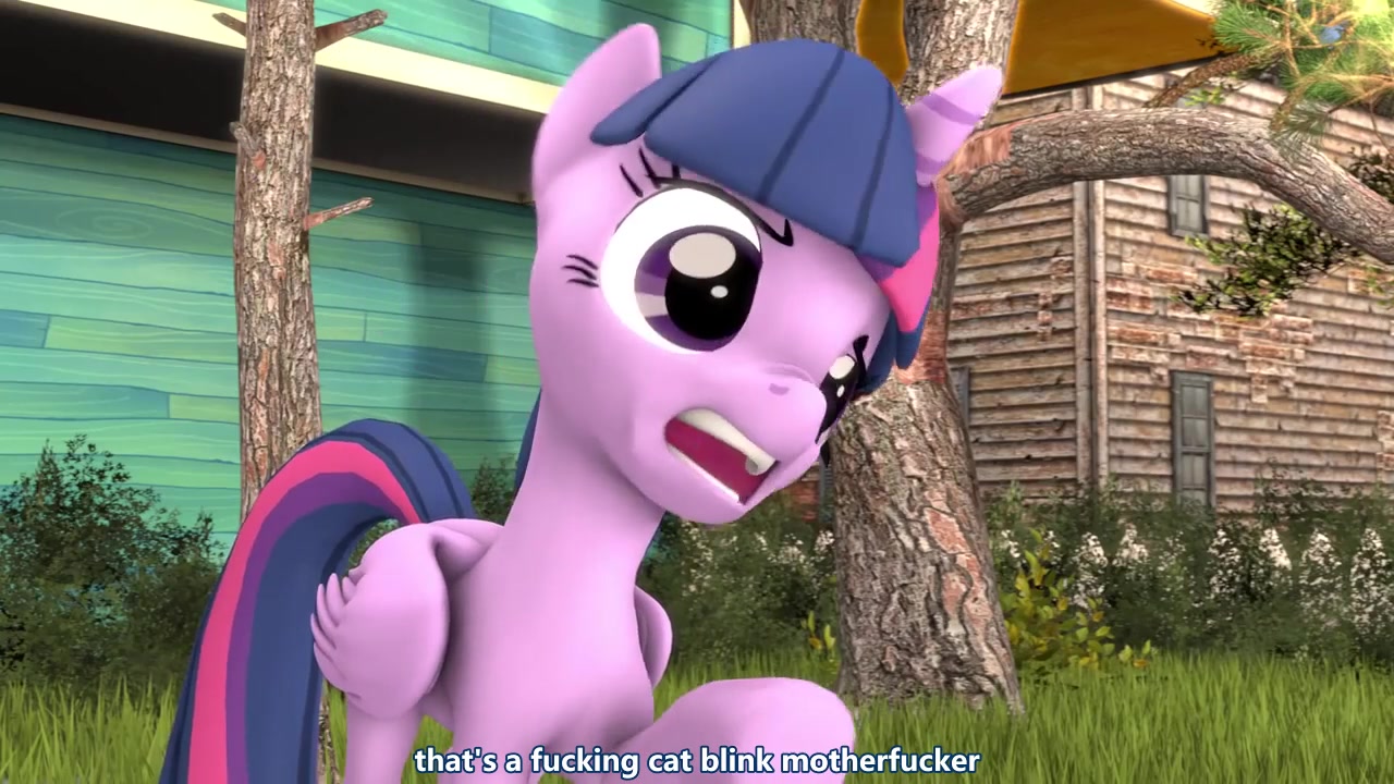 【MLP】[SFM Ponies] 《Ugly Cat Video》_哔哩哔哩_bilibili