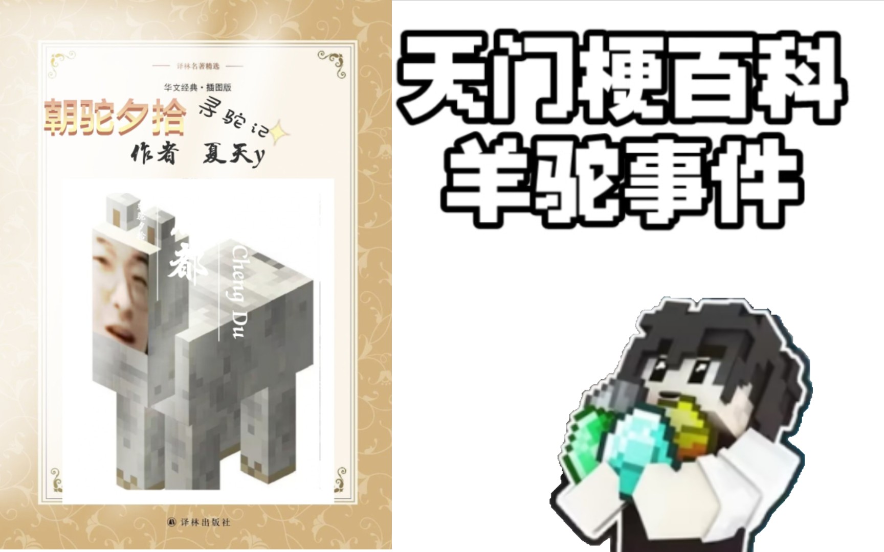 【天门梗百科】羊驼事件 哔哩哔哩