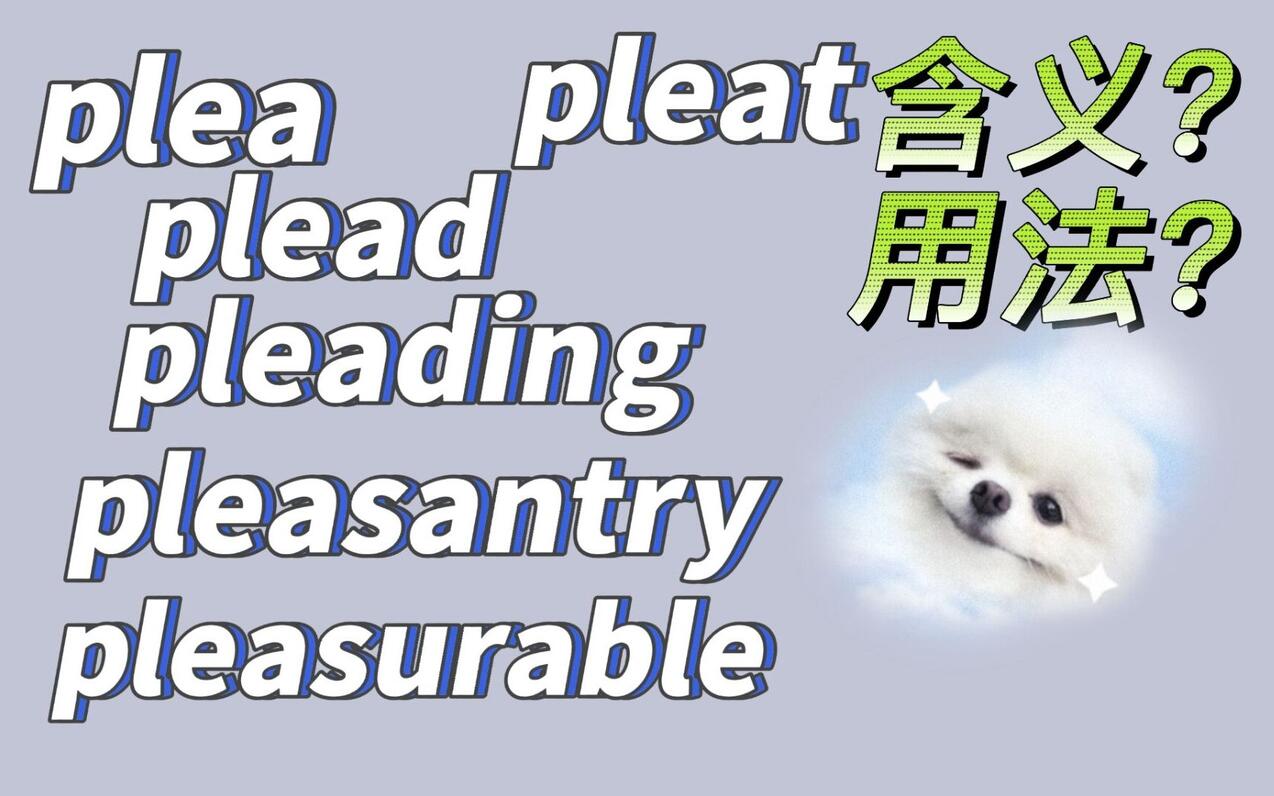从please拓展词汇：plea、plead、pleading、plead... - 哔哩哔哩