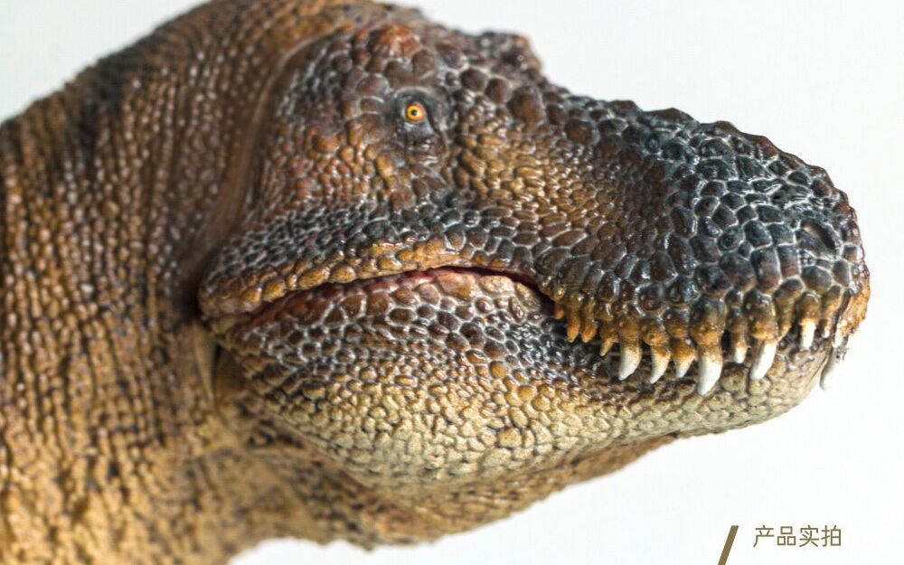 霸王龙长羽毛和嘴唇吗？攀比体型扣小数点的风气如何改善_哔哩哔哩_bilibili