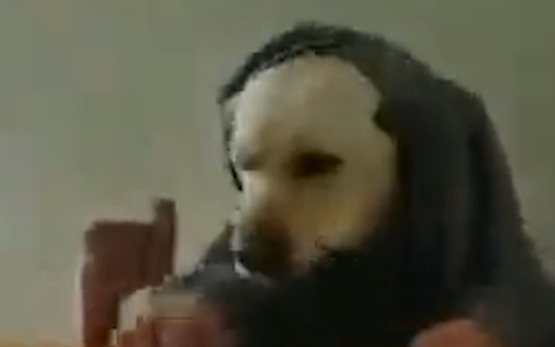 LMAO MEMES #17_哔哩哔哩_bilibili