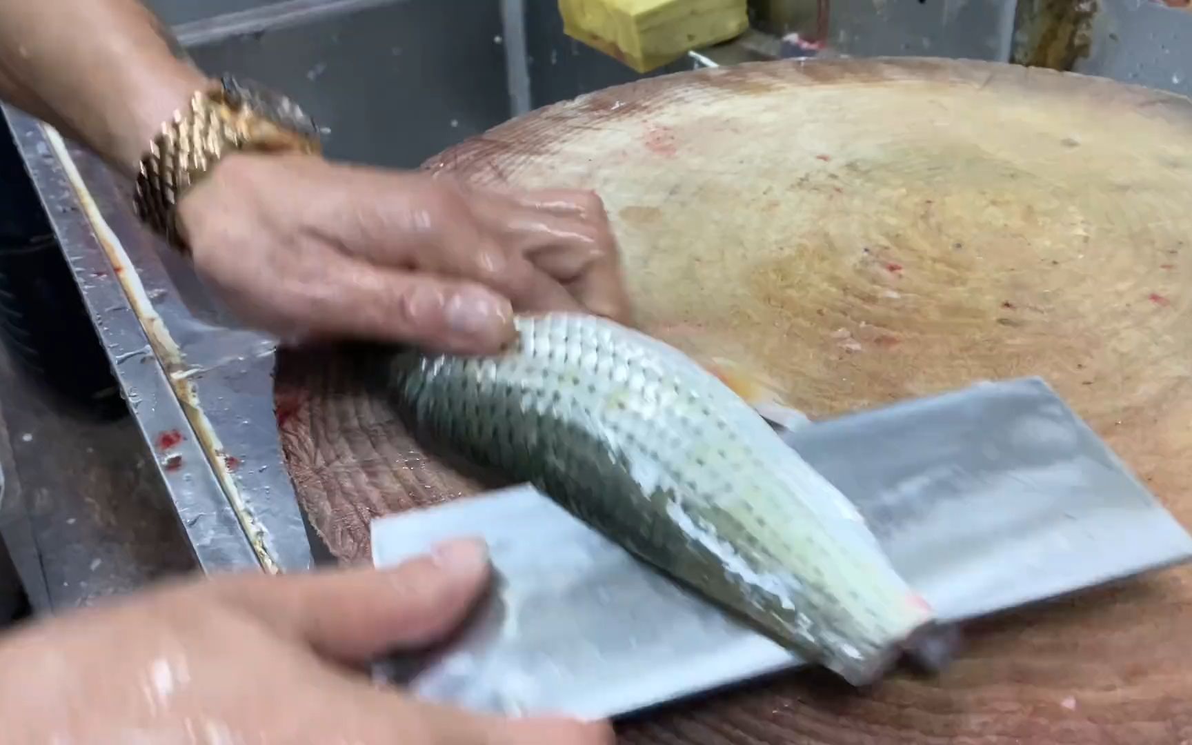 南宁的大哥来横县就为了吃个鱼生，三条赤眼三样吃切法，感谢支持-横县安仔-横县安仔-哔哩哔哩视频