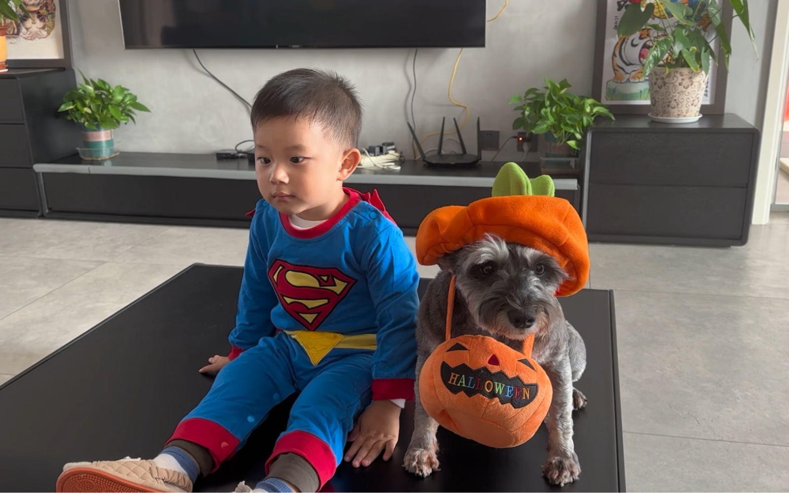 万圣节，一个光明正大玩小孩的日子！-一宝ebao-一宝ebao-哔哩哔哩视频