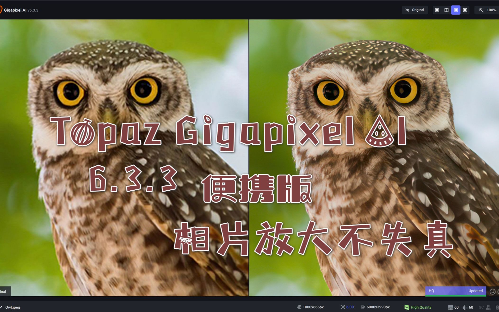 Topaz Gigapixel AI 6.3.3 （含5.6GB模型） 便携版 - 视频下载 Video Downloader