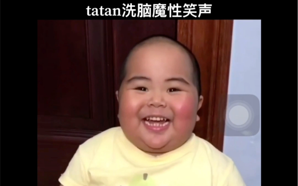 tatan小可爱_哔哩哔哩_bilibili