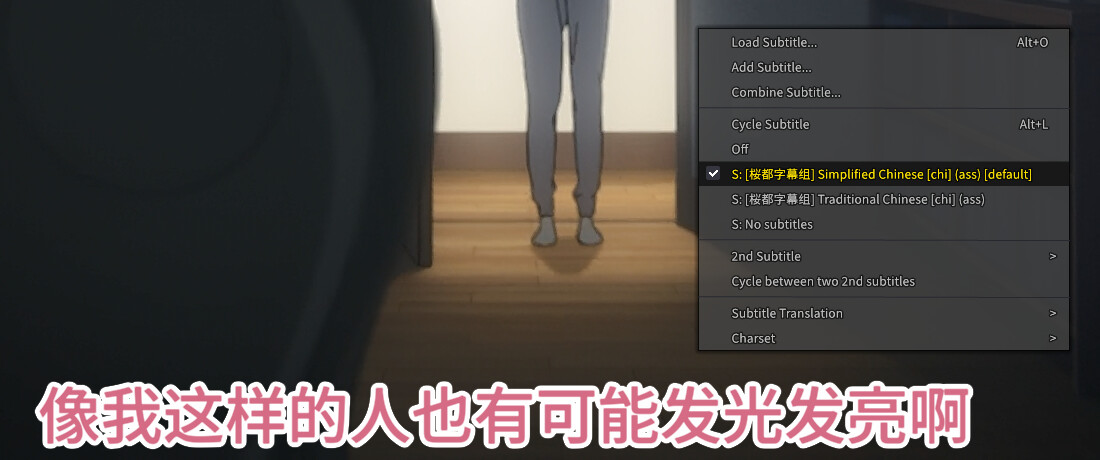 字幕组动画资源惯用文件名含义科普 - 哔哩哔哩
