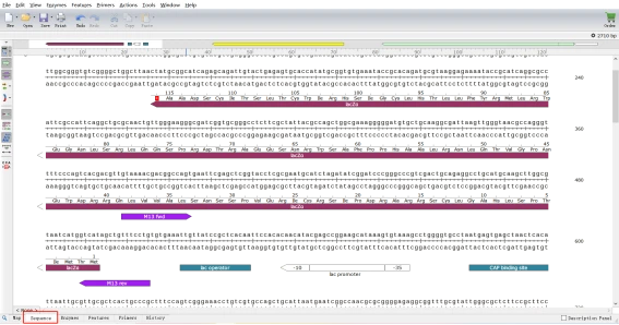 SnapGene 使用教程 - 哔哩哔哩