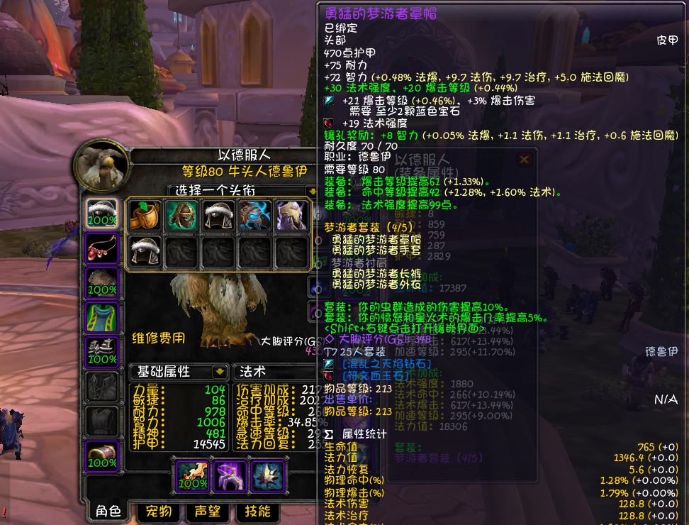 魔兽WLK80级鸟德天赋、配装、属性选择与输出手法全攻略 - 哔哩哔哩