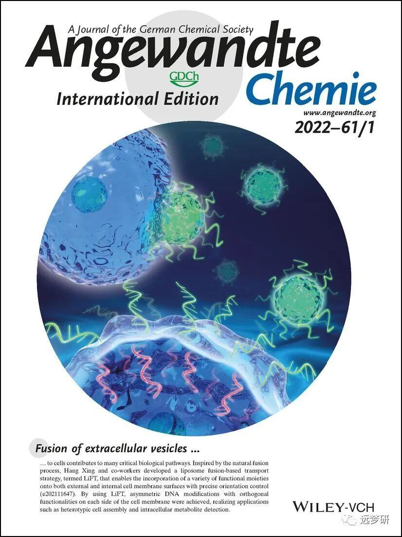 【标题速读】【Angew】【2022年】【1月】 - 哔哩哔哩